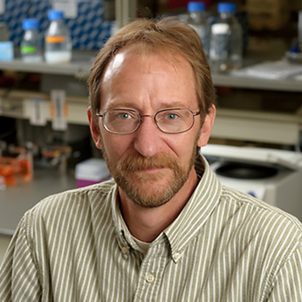Affiliated Faculty | The Boler-Parseghian Center for Rare Diseases ...